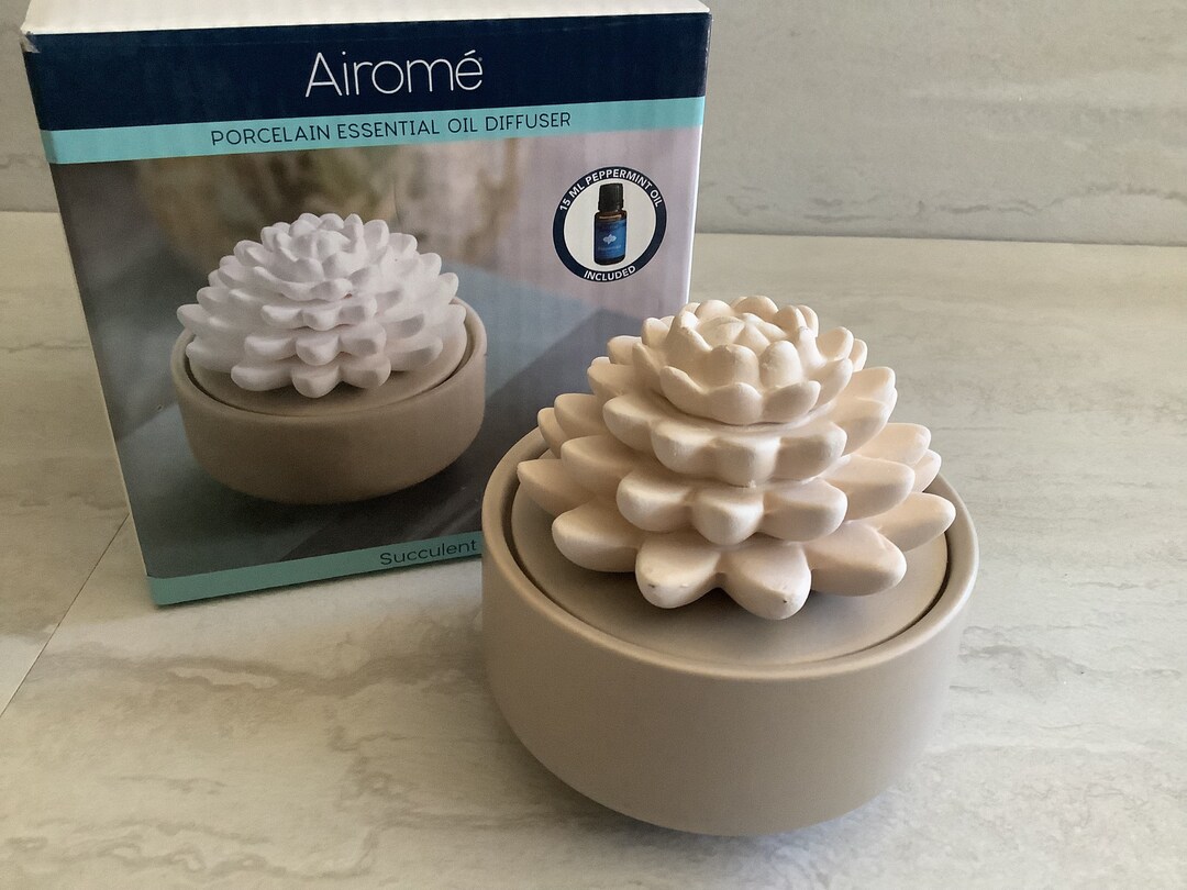 Airome Porcelain Essential Oil Diffuser Succulent Pattern Essential Oil Diffuser. Tan Base and ...