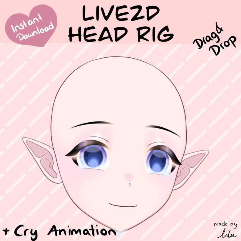 Vtuber Model/ Head and Face for Live2d / Drag and Drop / DETAILED ...