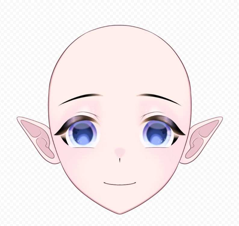 Vtuber Model/ Head and Face for Live2d / Drag and Drop / DETAILED ...