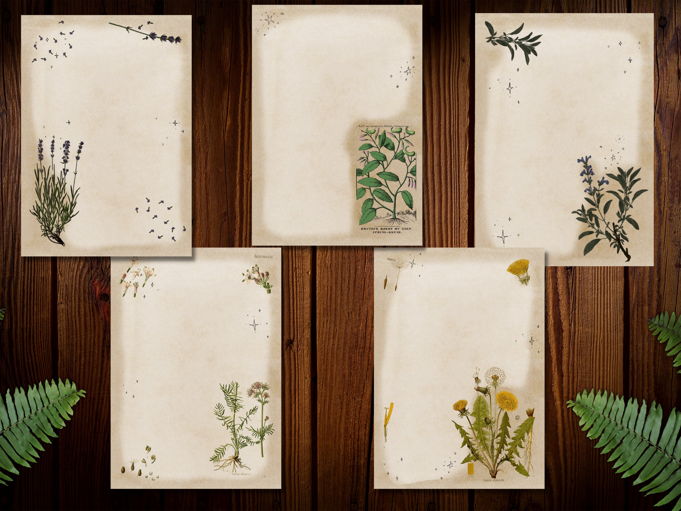 Plants & Herbs 01 - Digital Download PDF A4 for Grimoire Book of ...