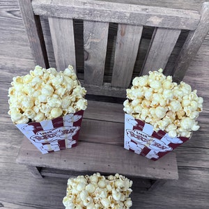 Faux Medium Size Popcorn, Faux Buttered Popcorn, Movie Popcorn, Photo ...