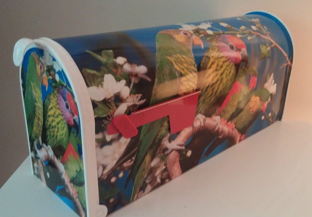 Parrot Custom Mailbox - Etsy
