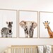 Safari Animal Prints Set of 3, Giraffe, Zebra and Elephant ...