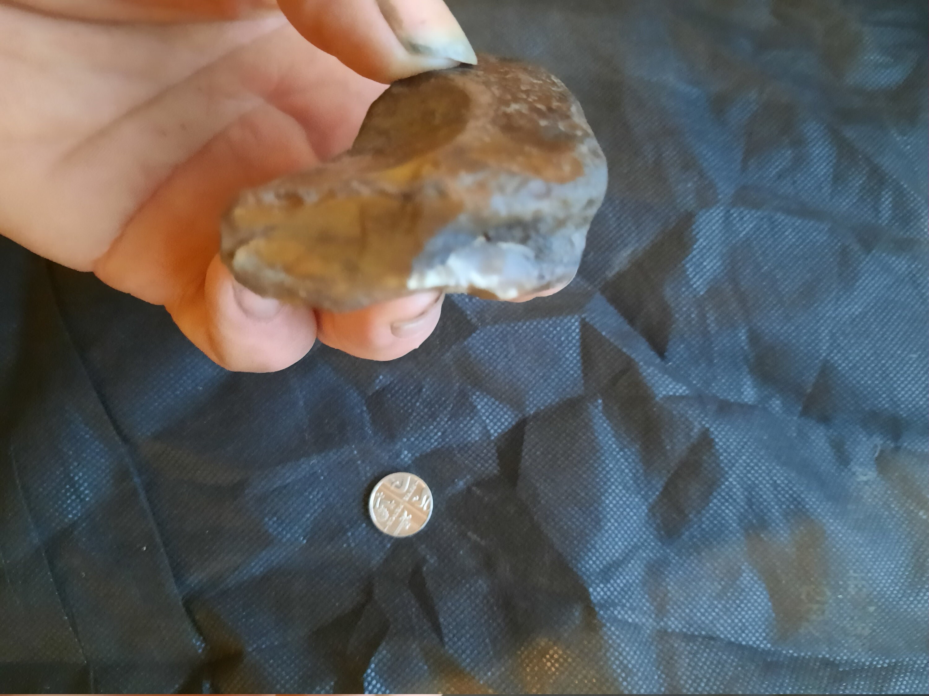 Neolithic Napped Flint Working Tool - Etsy