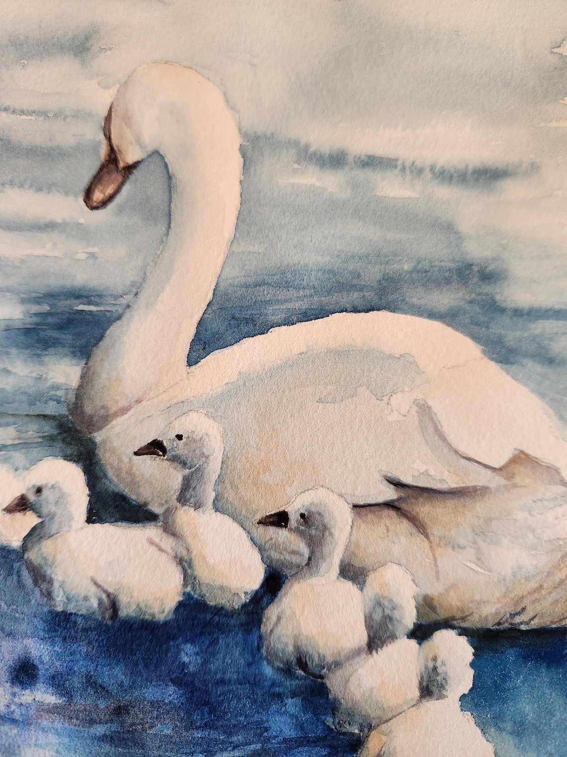 ORIGINAL Swan and Cygnets Watercolor Painting, Mama Swan Swimming With ...