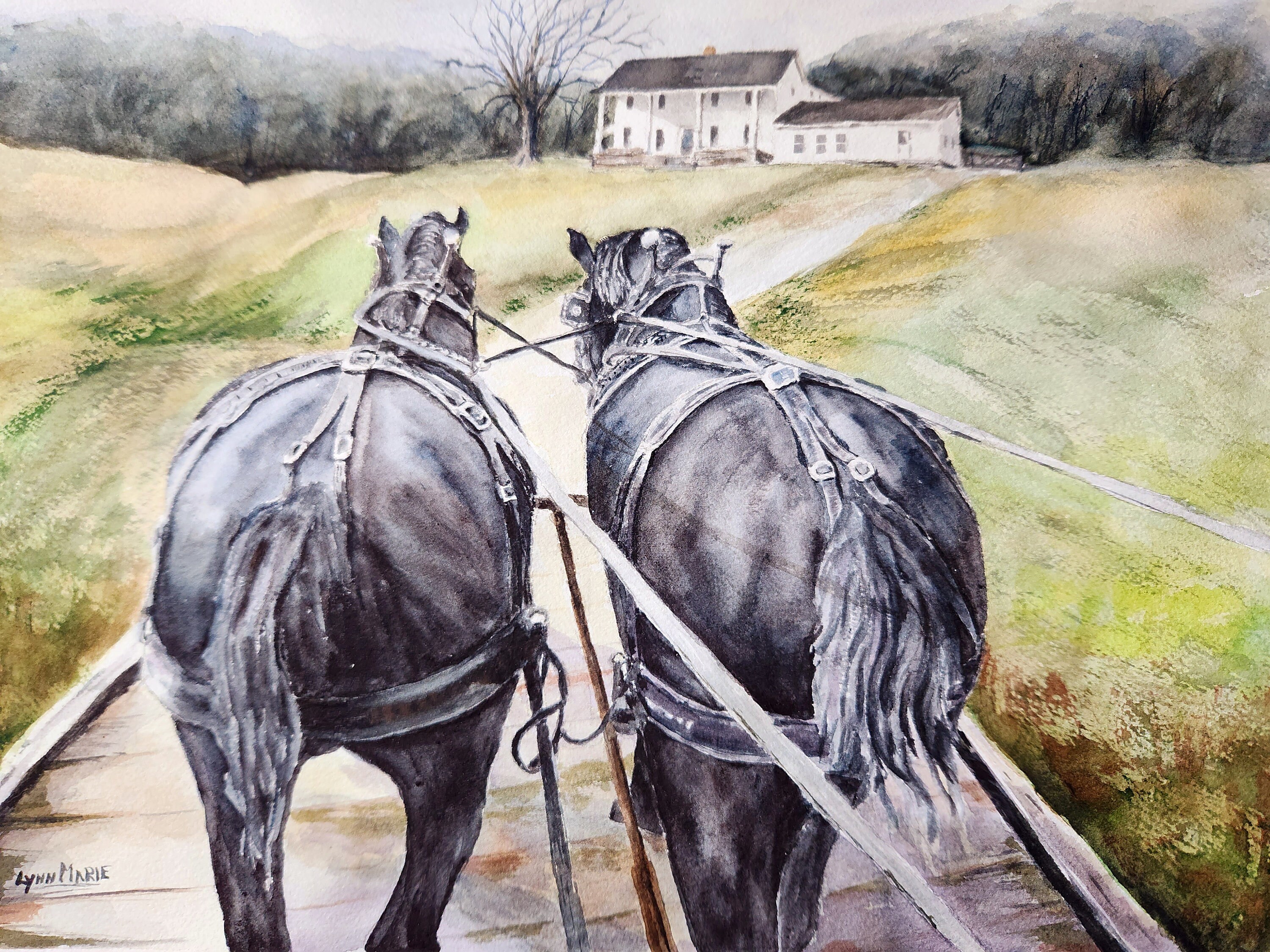 ORIGINAL Percheron Team Watercolor Painting, Draft Horse Team Artwork ...