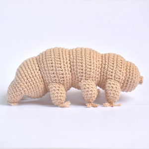 Tardigrade (water Bear) PDF Pattern - Etsy