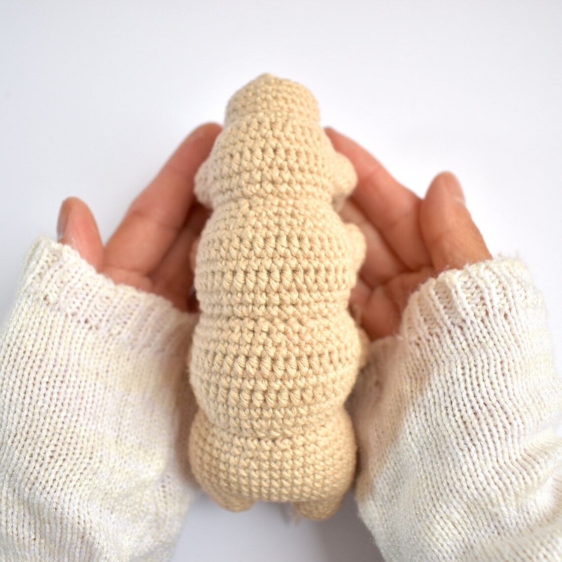 Tardigrade (water Bear) PDF Pattern - Etsy