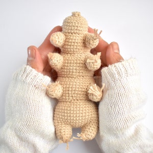 Tardigrade (water Bear) PDF Pattern - Etsy