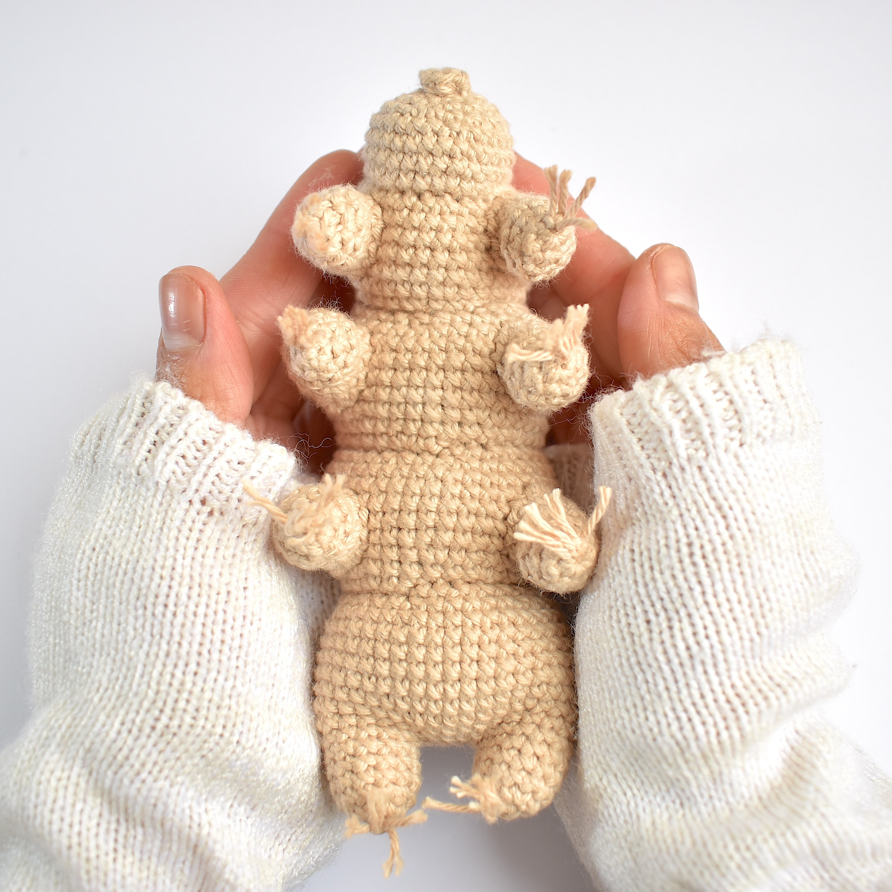 Tardigrade (water Bear) PDF Pattern - Etsy