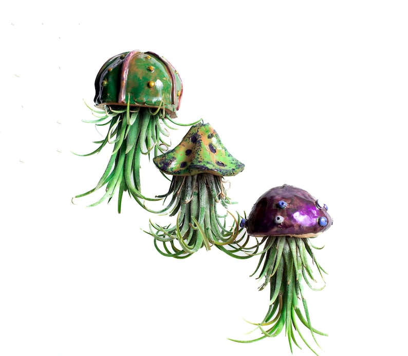 Macetas Planta Aérea: Medusas Y Pulpos Colgantes - Etsy