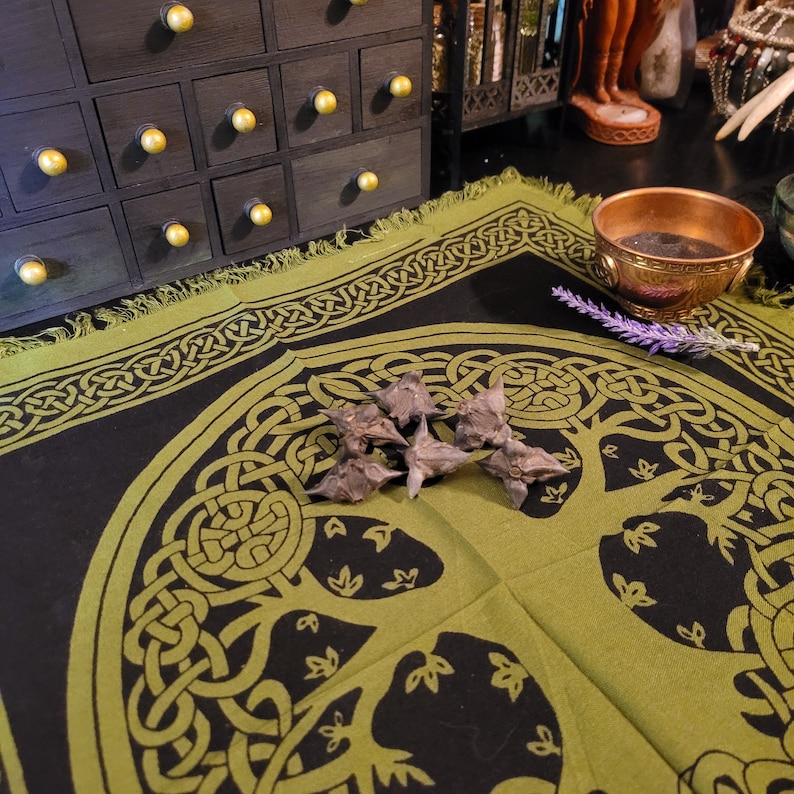 Devil Pods, Bat Nuts, Water Chestnuts, Caltrops, Occult, Witchcraft ...