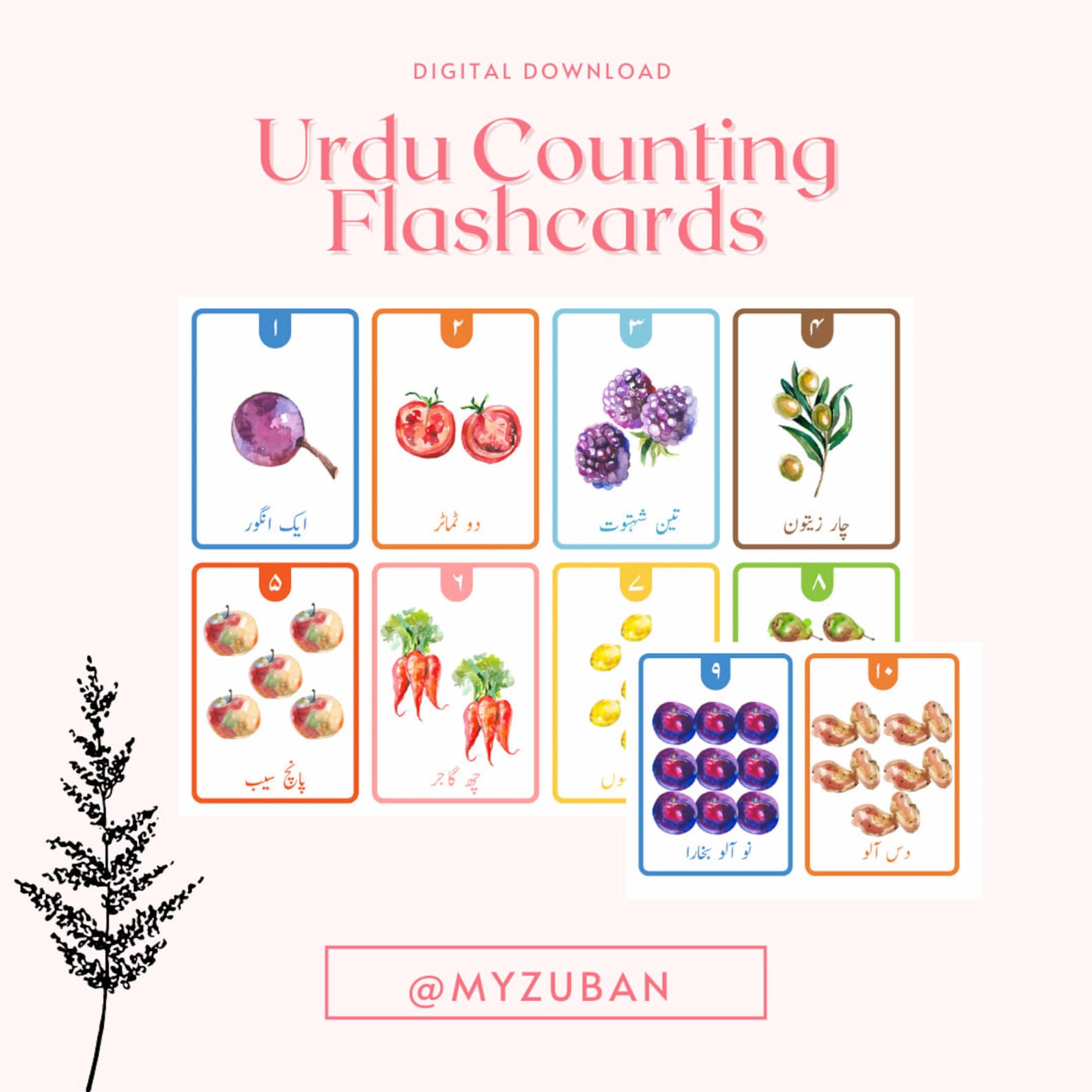 Urdu Food Counting Flashcards | Montessori Inspired Educational ...