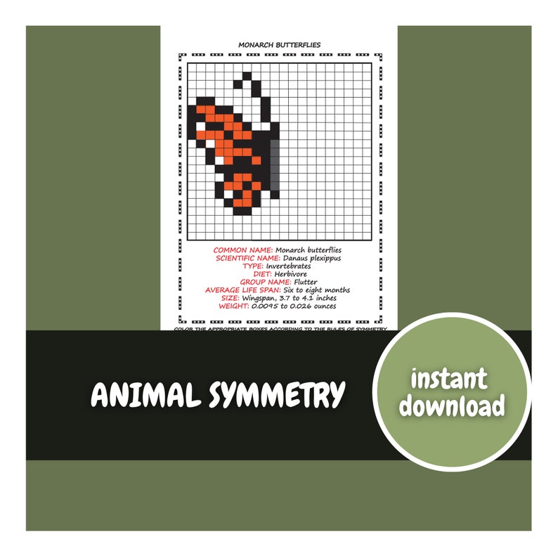 5 Printable Animal Themed Activity Sheets Color Coding Kids - Etsy