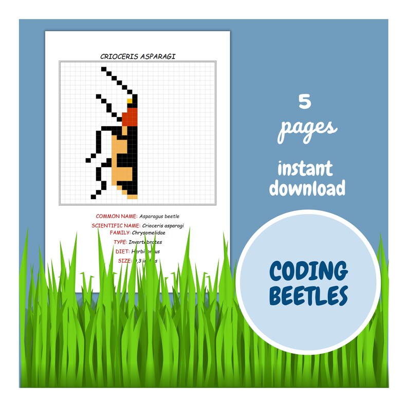 5 Printable Beetlethemed Activity Sheets, Color Coding, Kids Activities ... 5 Printable Beetlethemed Activity Sheets, Color Coding, Kids Activities ...