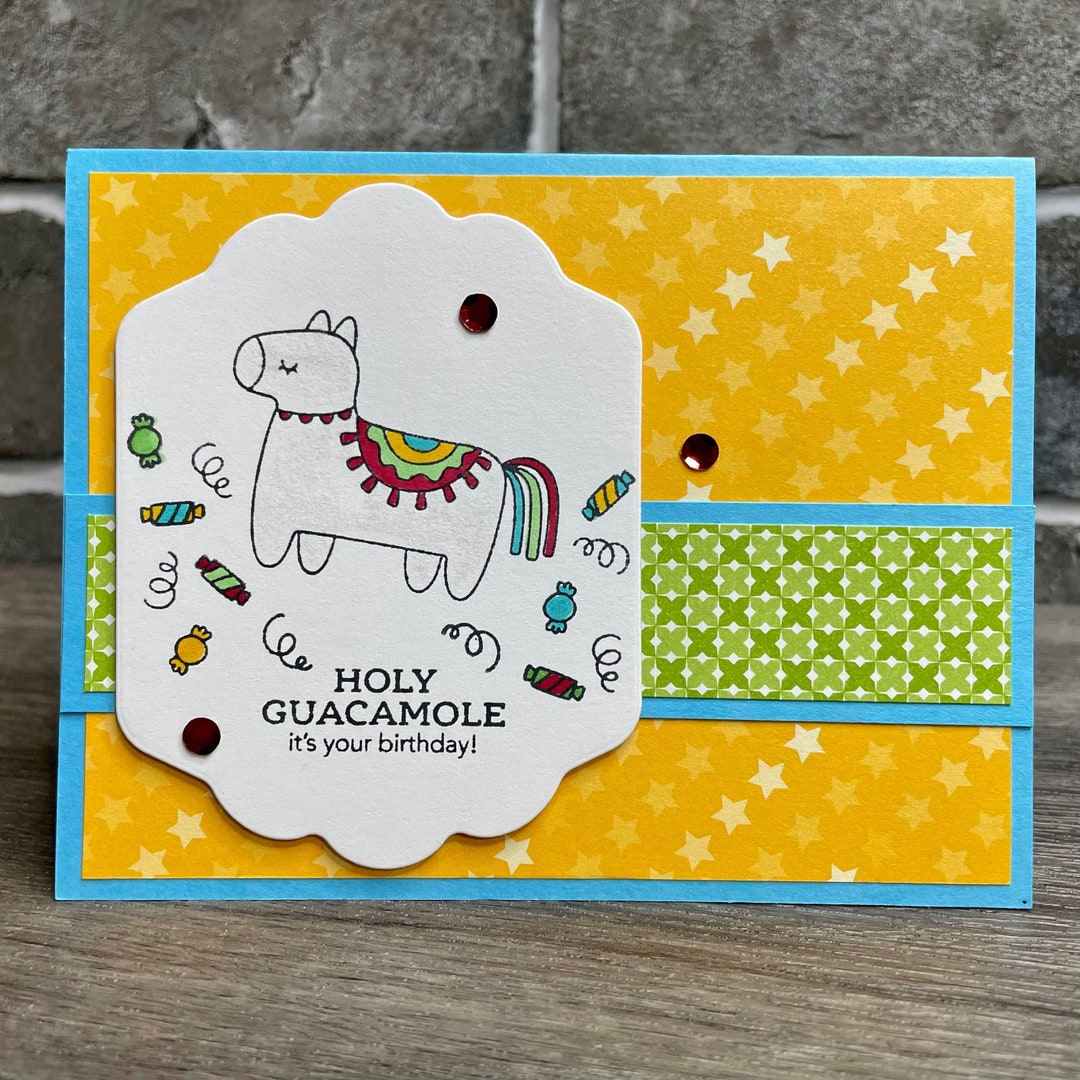 Pinata Birthday Card Happy Birthday Hand Stamped Handmade Stampin' up ...