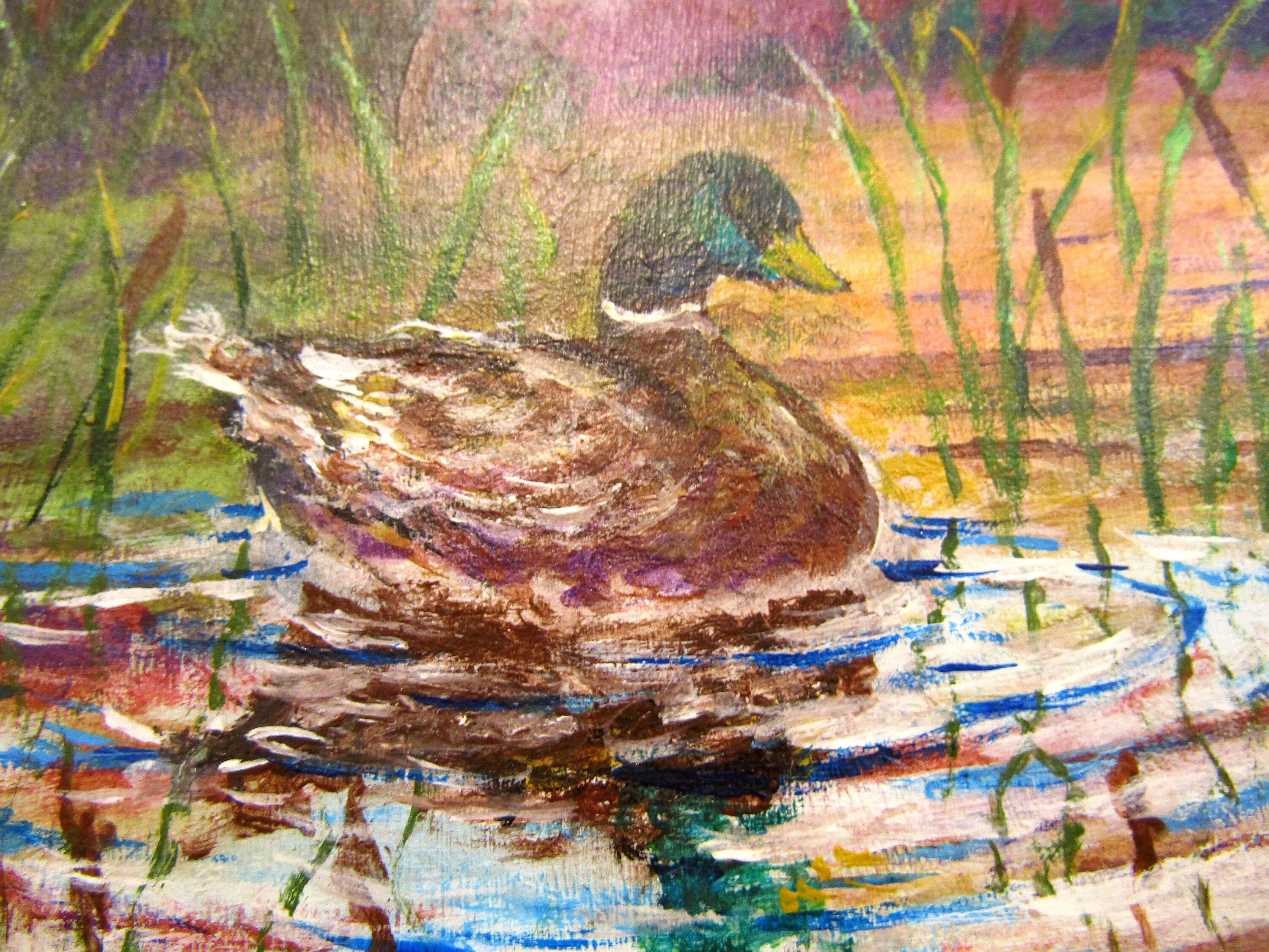Original Oil Painting on Cardboard DUCK IN A POND by S & T Gold Ornate ...