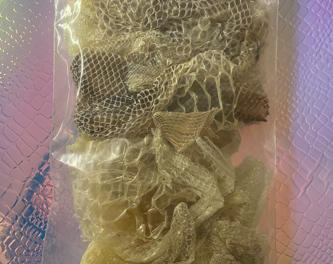 Snake Shed Pieces - Etsy