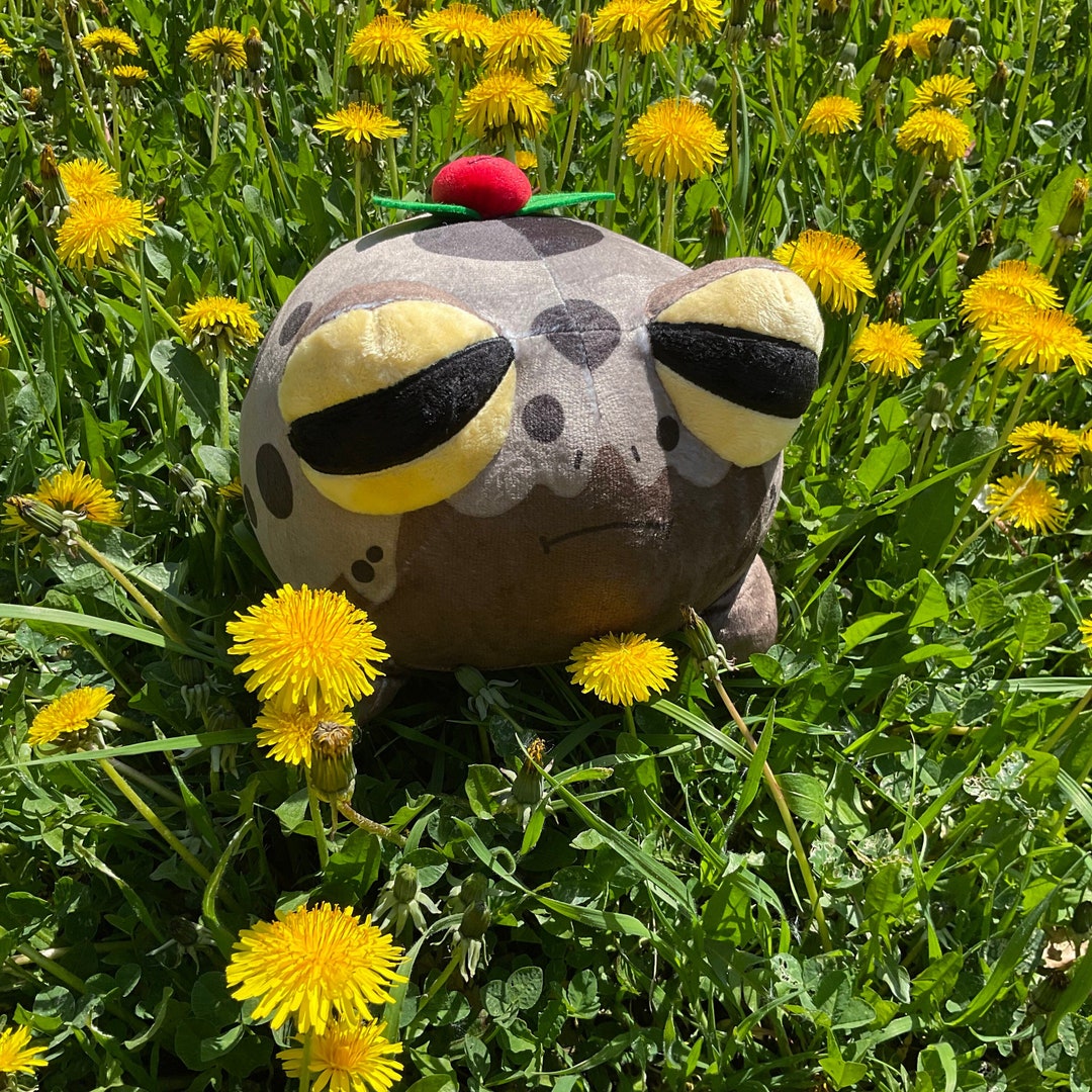 NEW Frogcake Plush | NOW AVAILABLE!!! | 8" Plush Adorable Froggy | Cute ...