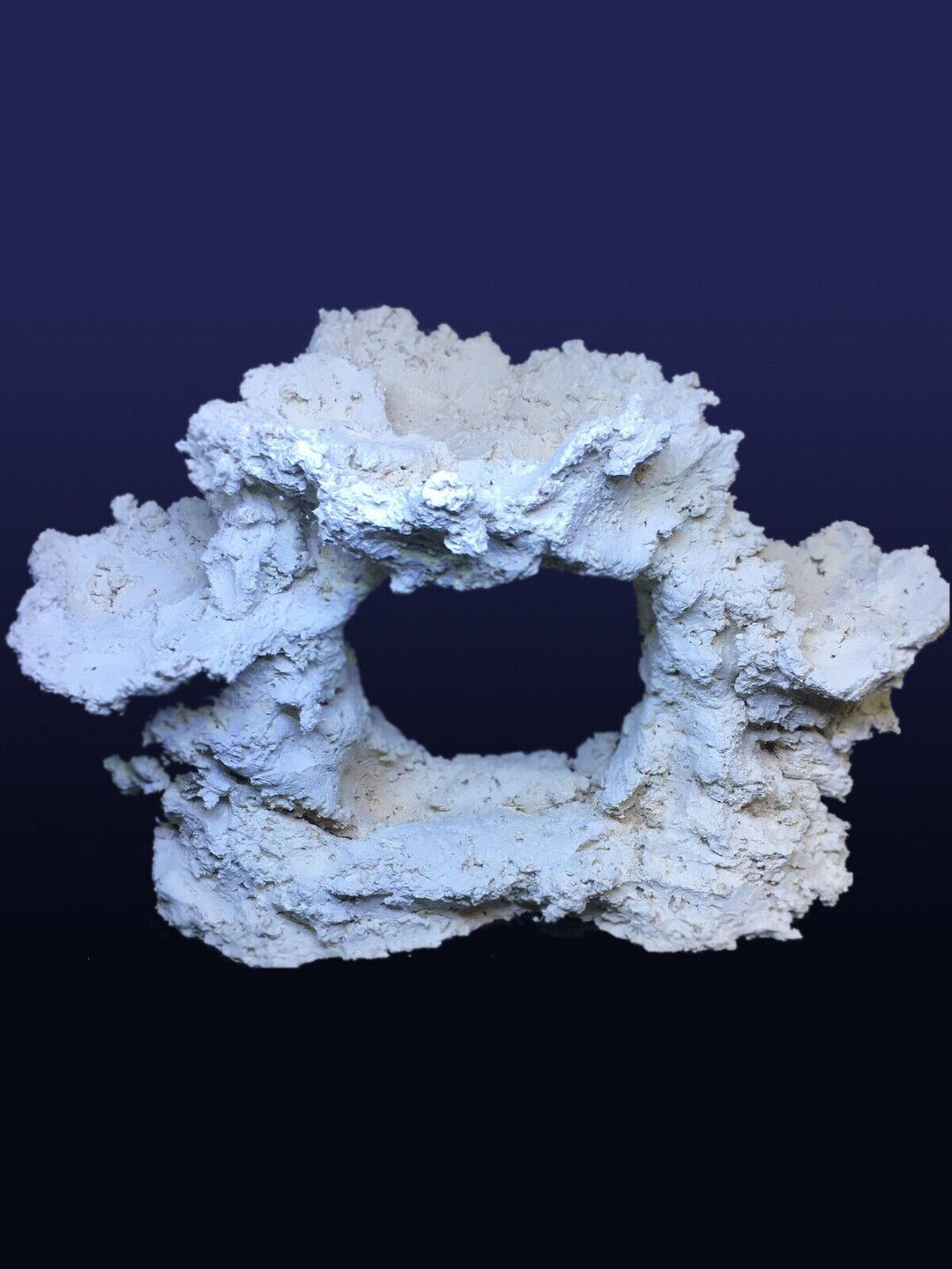 Reef Arch Plateau Reef Ceramic Seawater Aquarium Decoration - Etsy