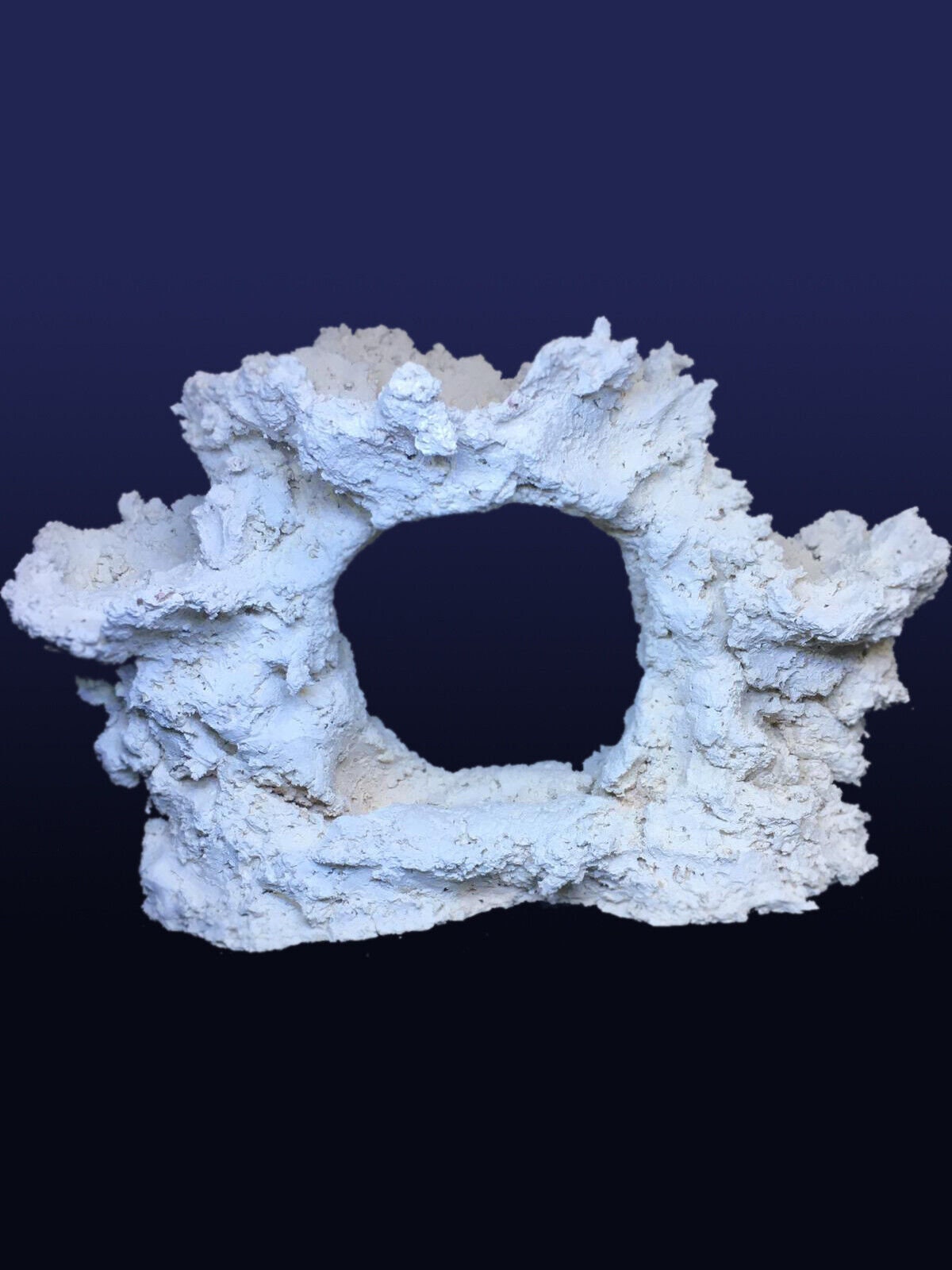 Reef Arch Plateau Reef Ceramic Seawater Aquarium Decoration - Etsy