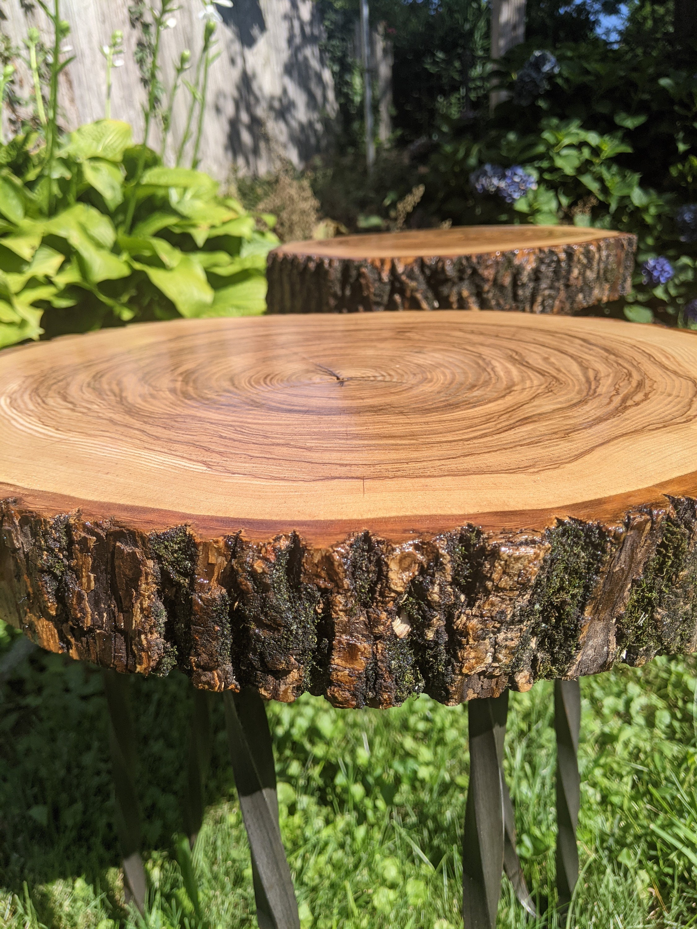 Live Edge Wood Disk Table - Etsy