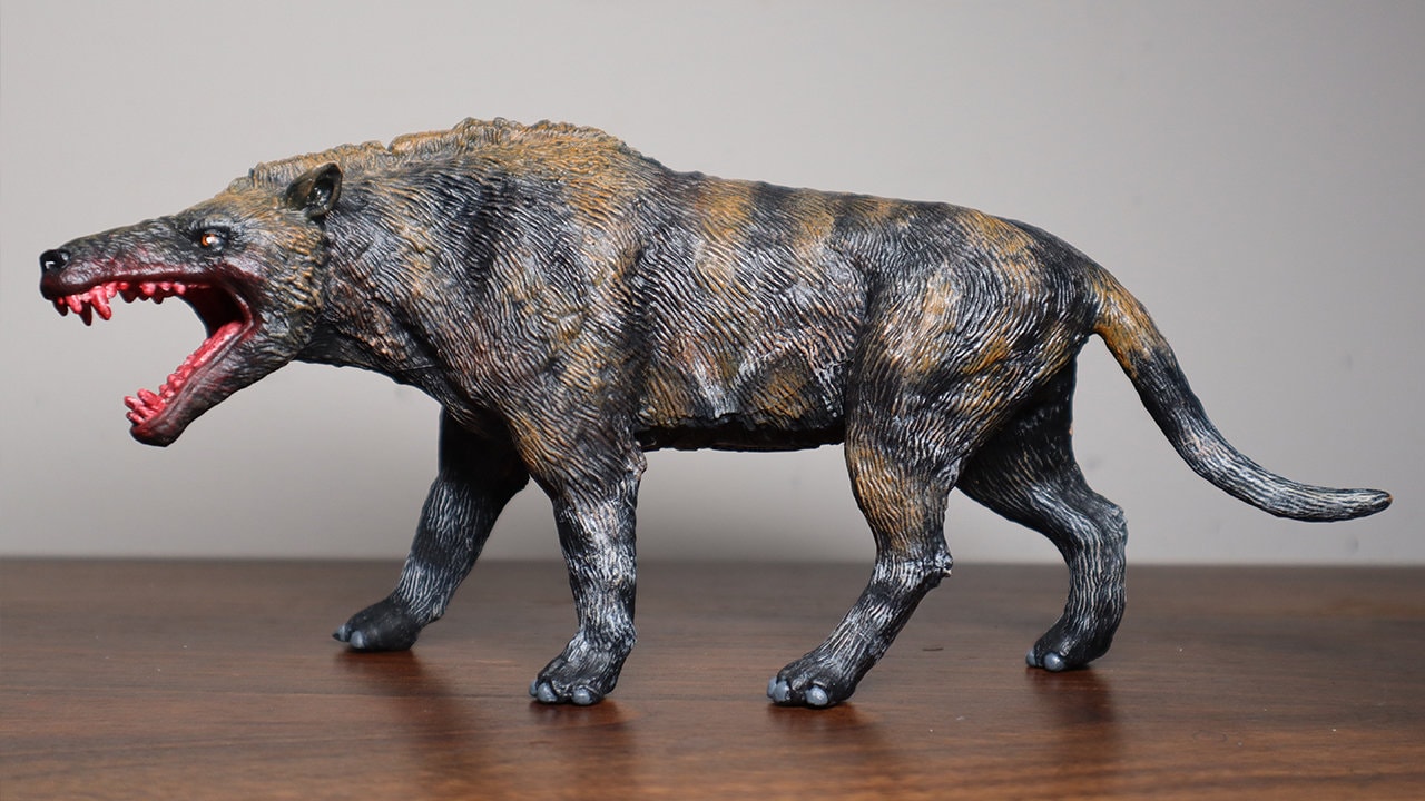Andrewsarchus wild Predator One of a Kind Repainted Prehistoric Mammal ...