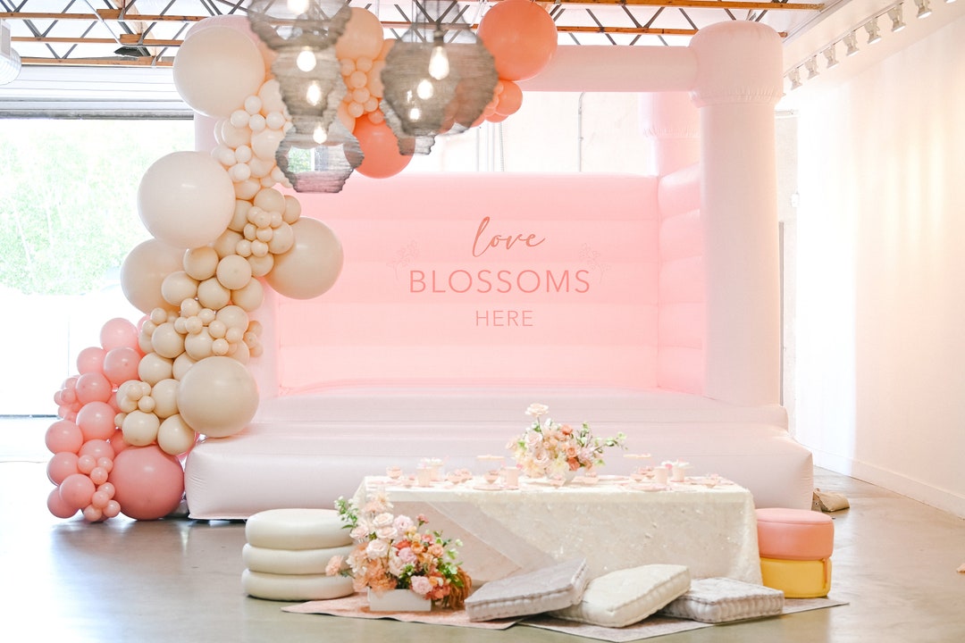 Decals - Huge Bounce House Decals - Large Backdrop Vinyl - Small ...