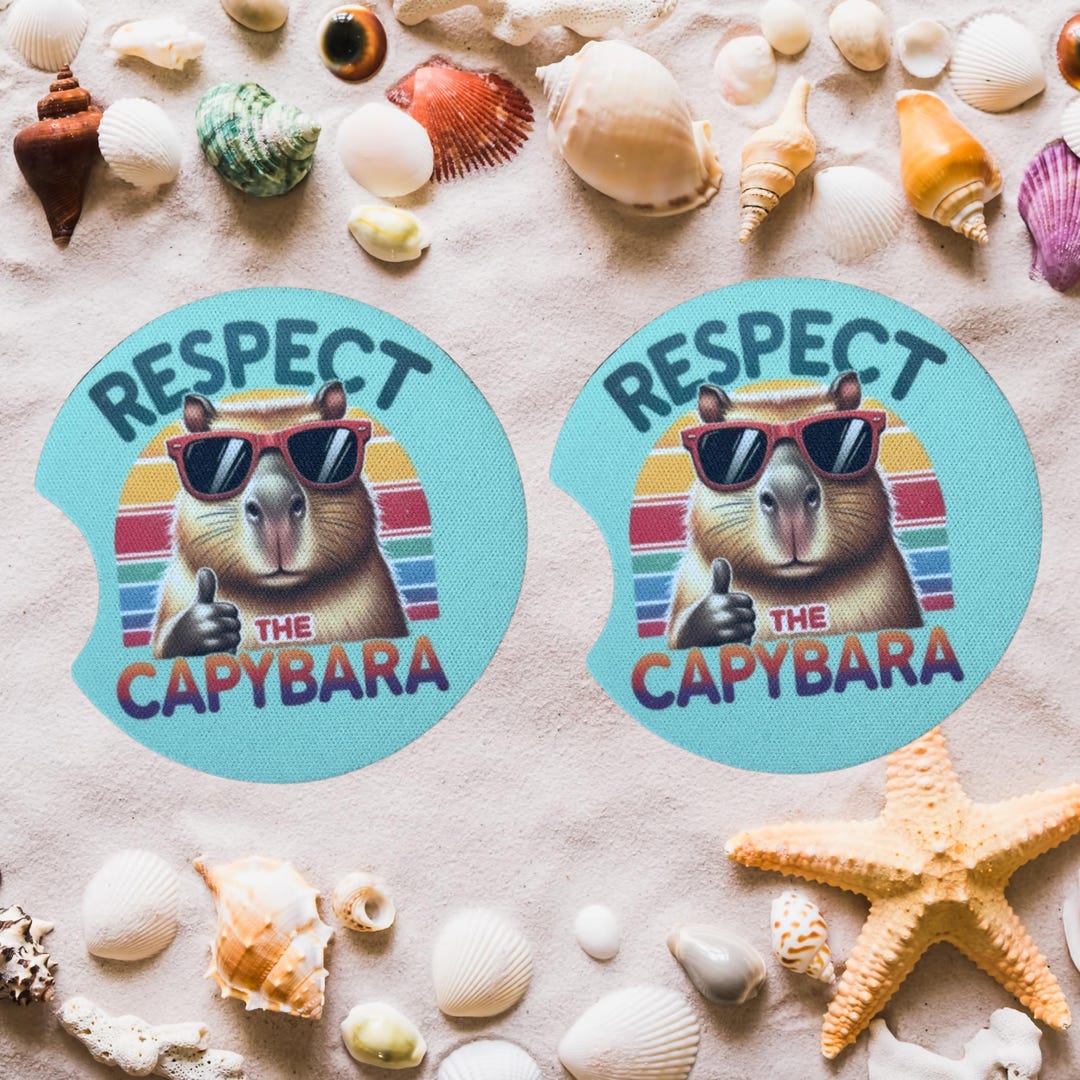 Aqua Capybara Set of Two Car Coasters - Etsy