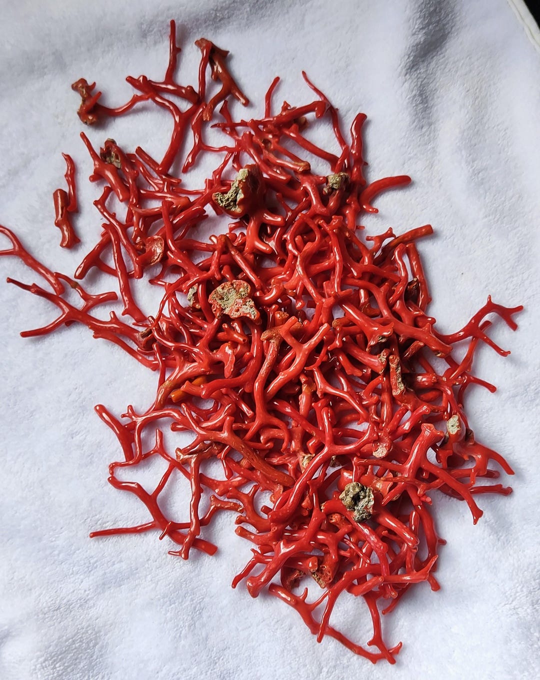 Italian Coral Stick Lot Italian Red Coral Stick, Top Quality Coral ...