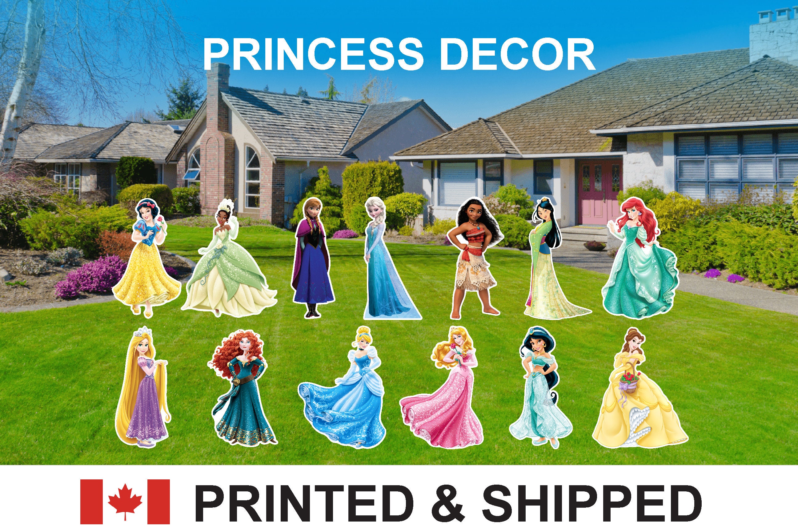 Princess Birthday Signs