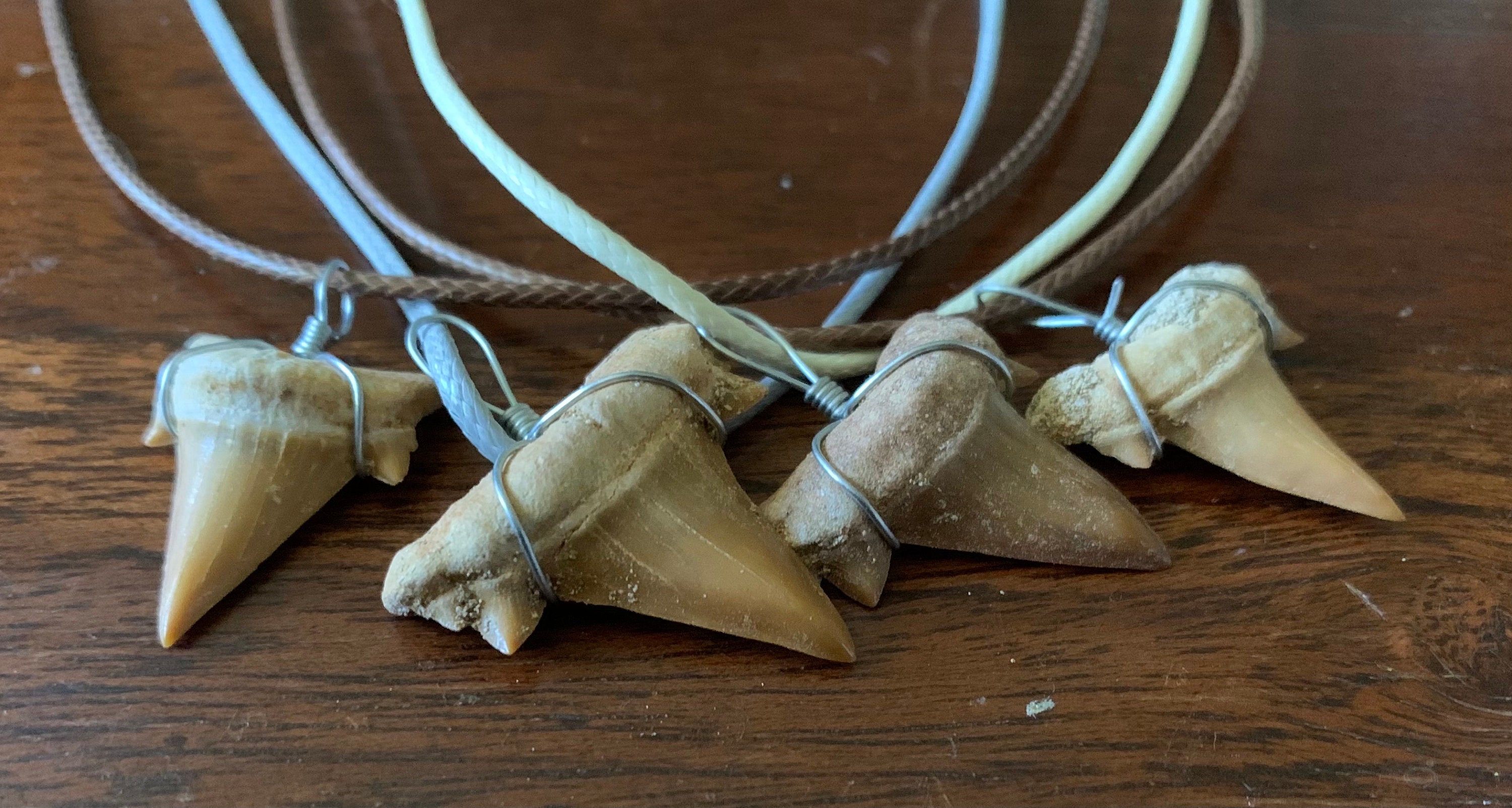 Wire Wrapped Fossilized Shark Teeth Pendant - Etsy