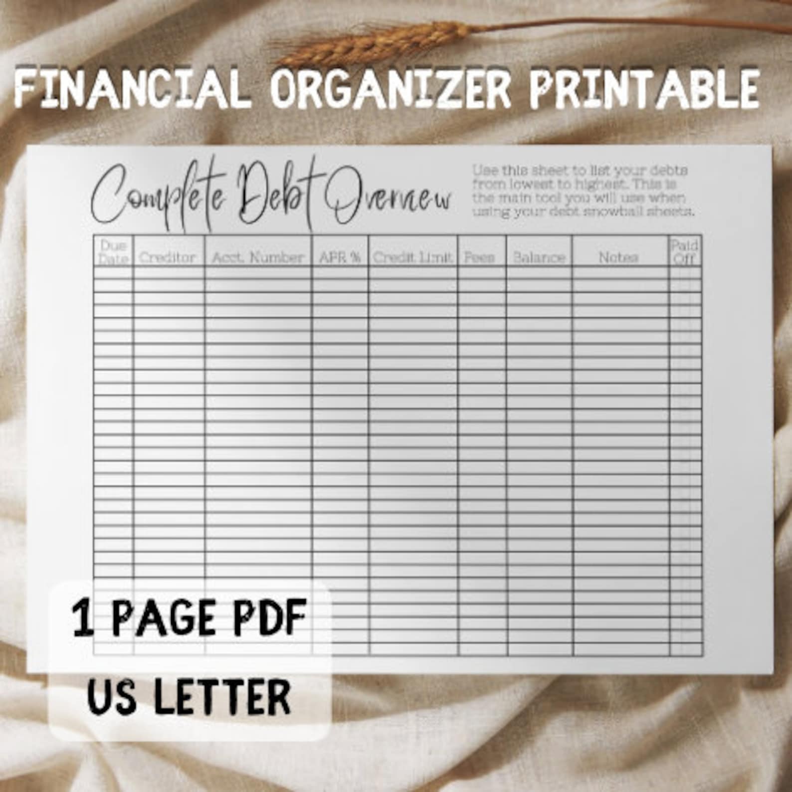 Complete Debt Overview Printable Worksheet | Instant Download - Etsy