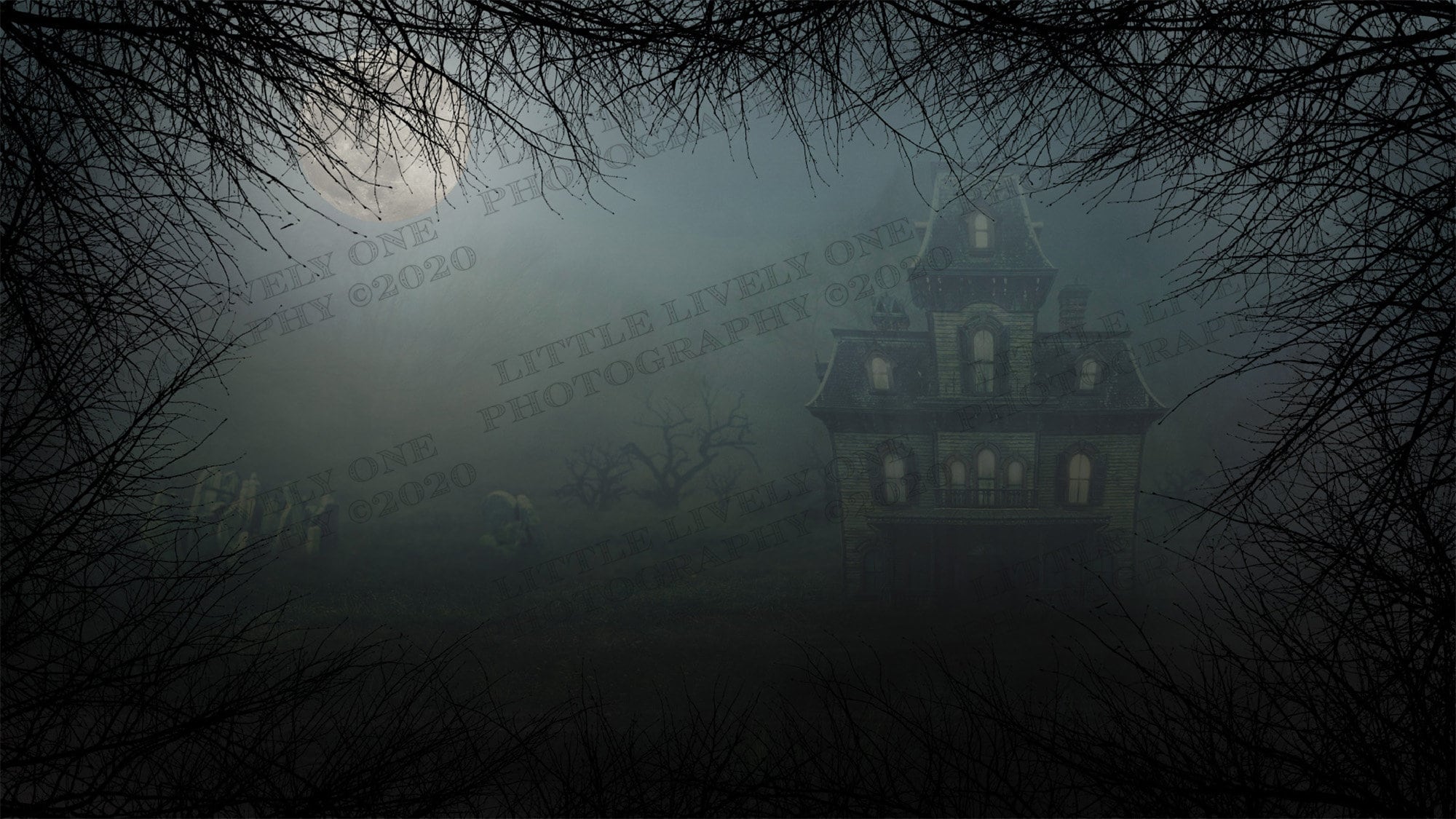 Zoom Meeting Backdrops, Halloween Background, Spooky Background, Foggy ...