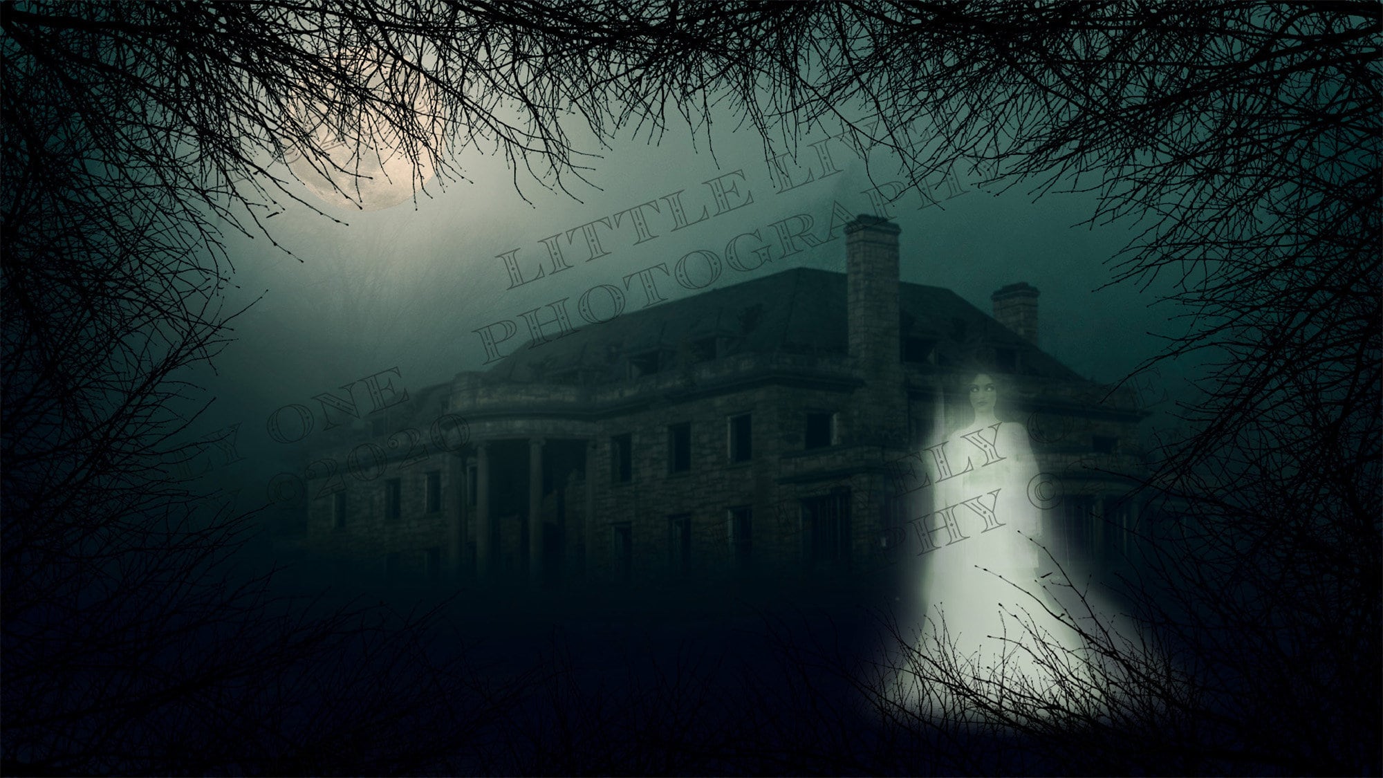 Zoom Meeting Backdrops, Halloween Background, Spooky Background, Foggy ...