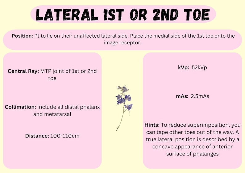 Radiography Positioning Flashcards - Etsy