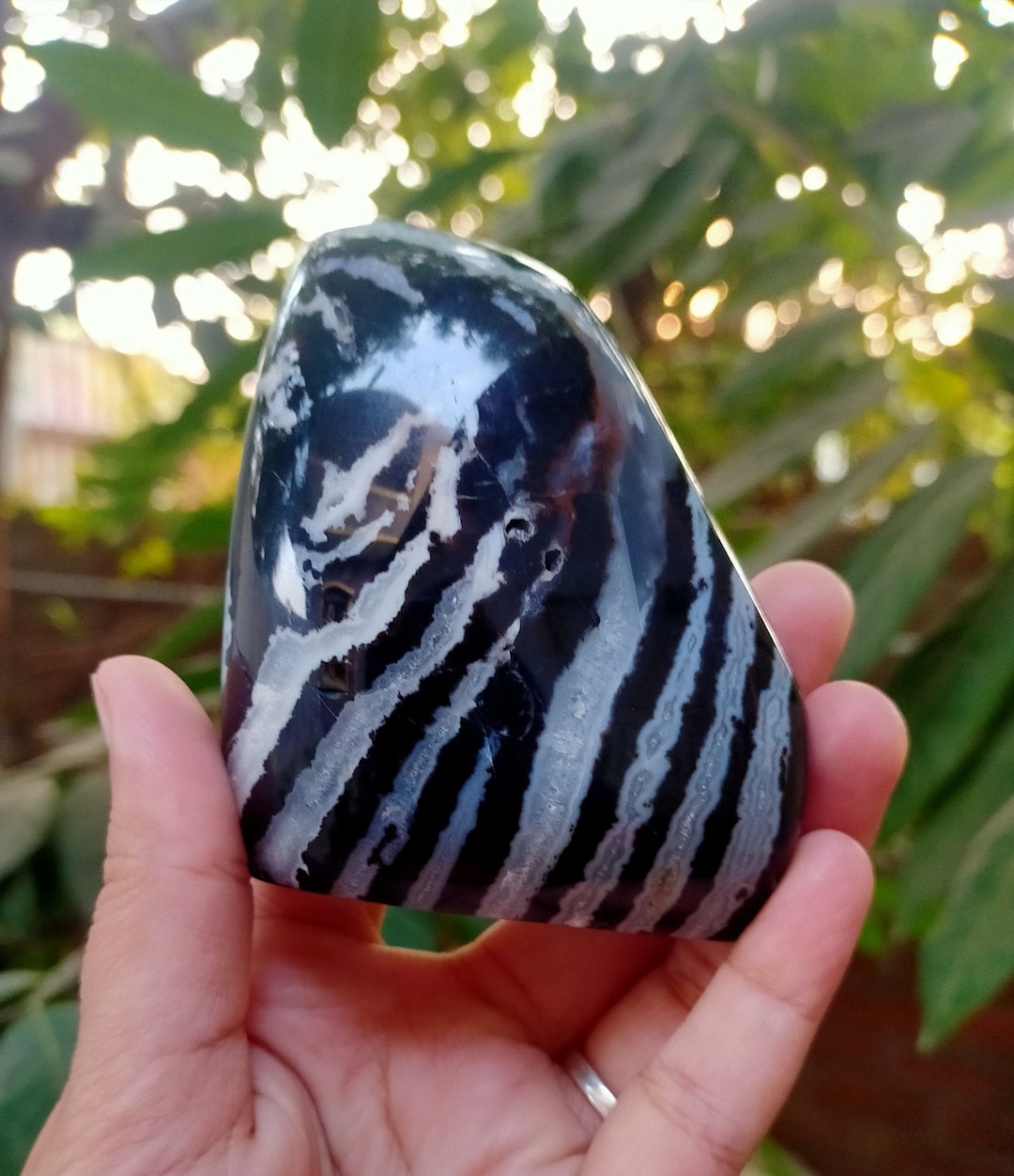 Stunning 3" Inches Zebra Agate Free Form Inner Druzy Attraction Well ...