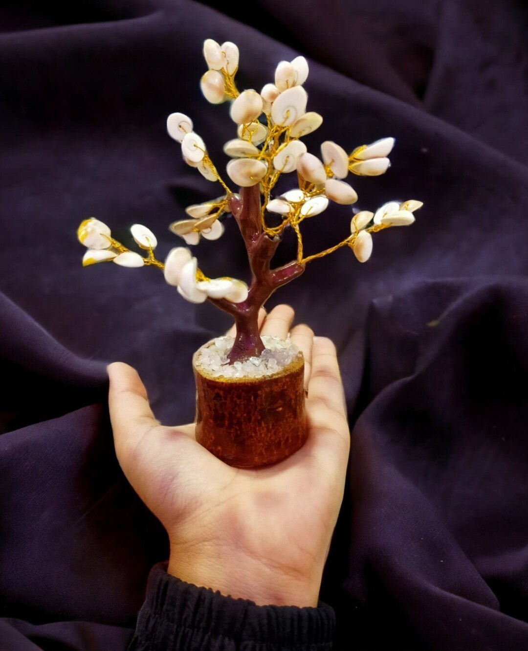 Amazing Quality Gomti Chakra Tree for Healing Perfect - Etsy