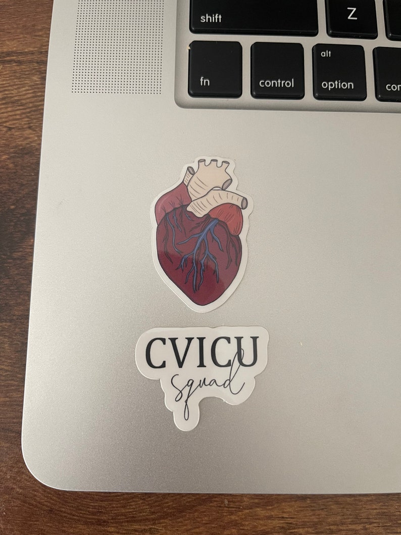 Anatomy Heart Sticker CVICU Anatomical Stickers Human | Etsy