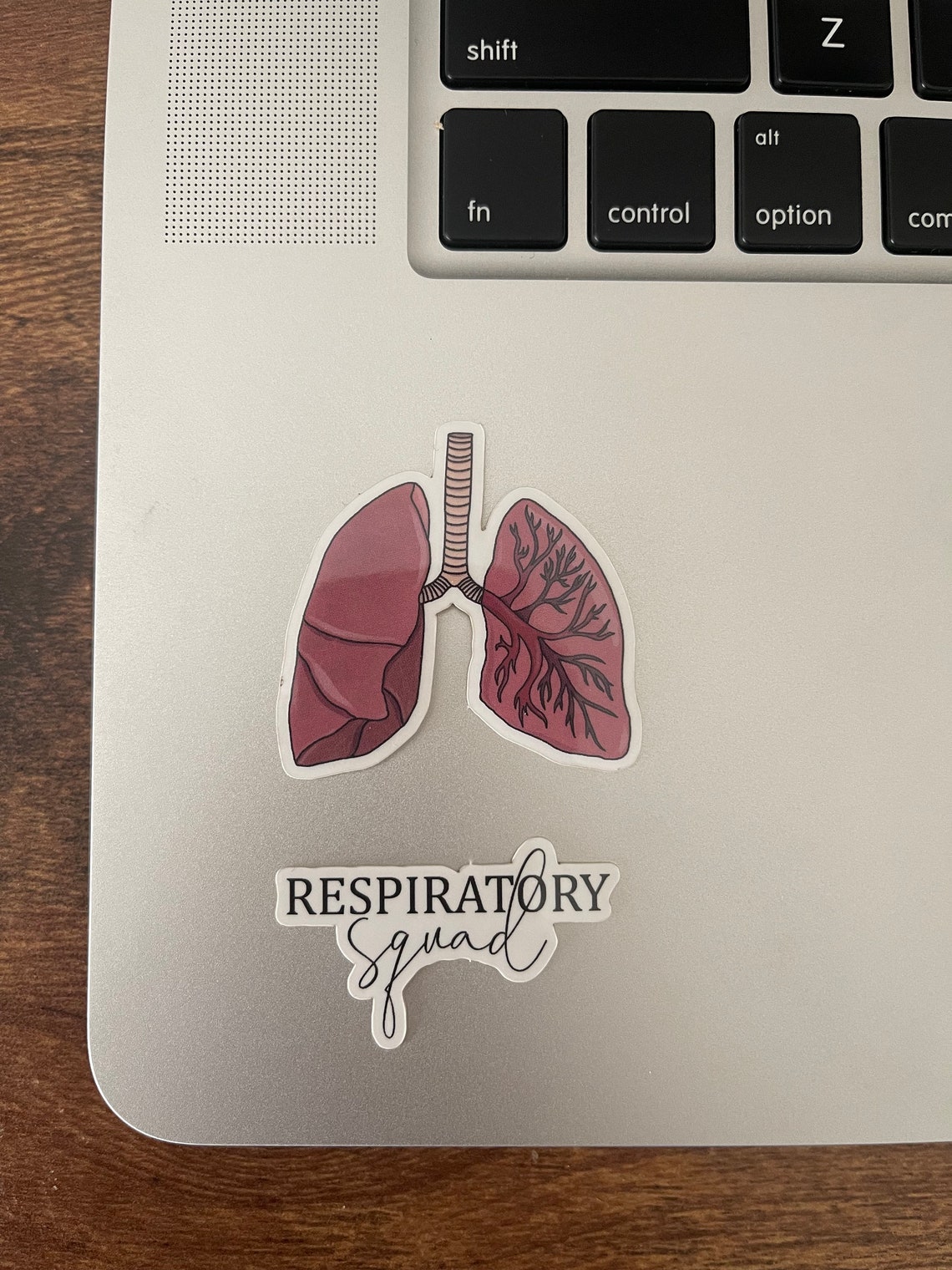 Anatomy Lungs Sticker CVICU Anatomical Stickers Human | Etsy