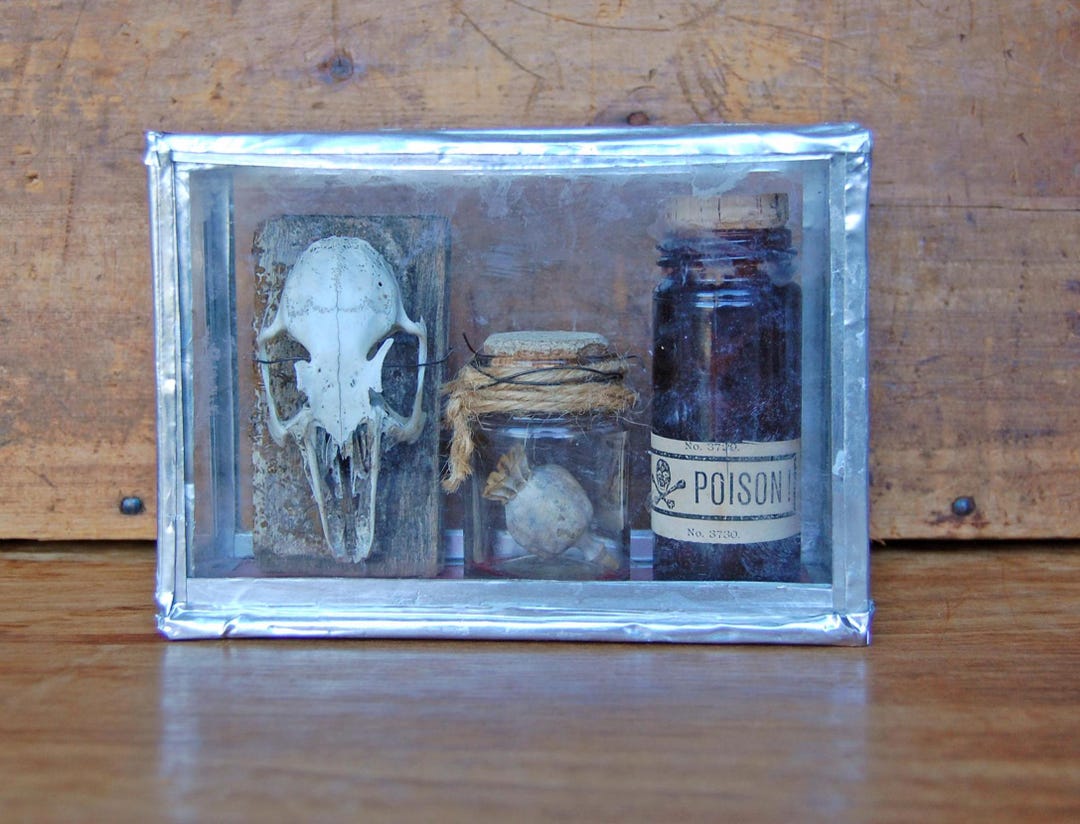 Curiosity Cabinet Display Box - Gothic Decor - Oddities & Macabre ...