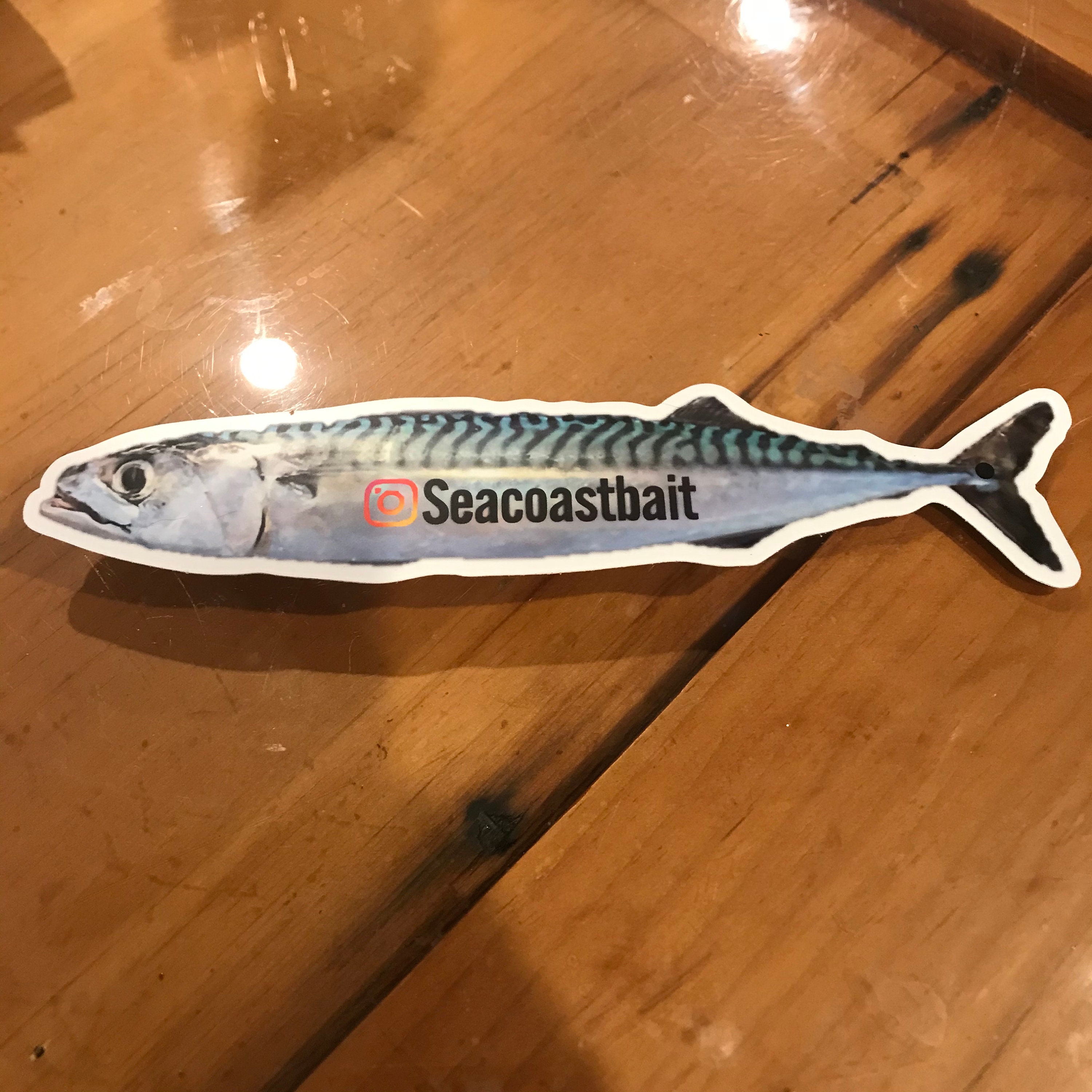 Seacoast Bait Original Mackerel Stickers - Etsy
