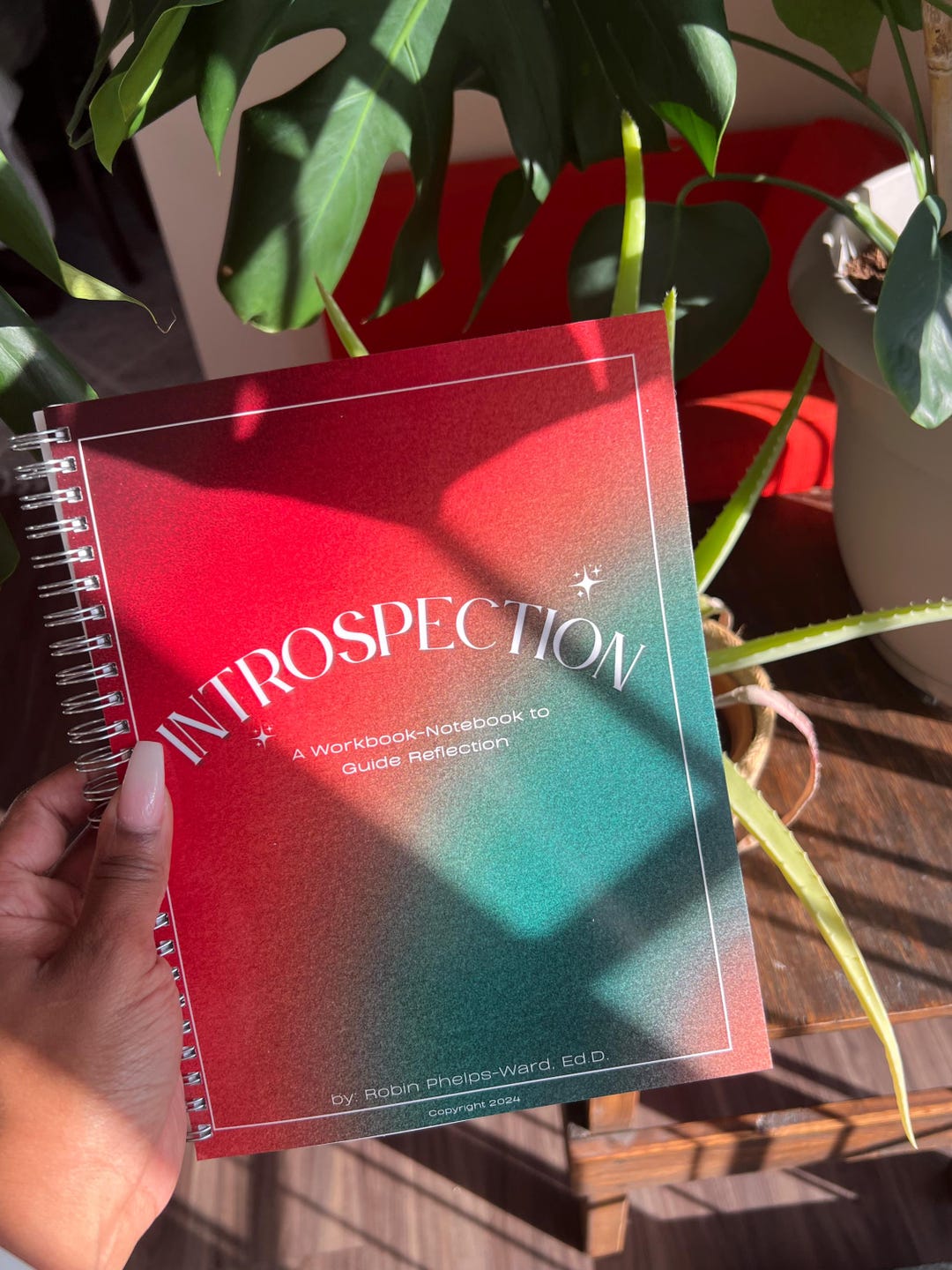 PRE-ORDER Introspection: A Workbook-notebook to Guide Reflection full ...