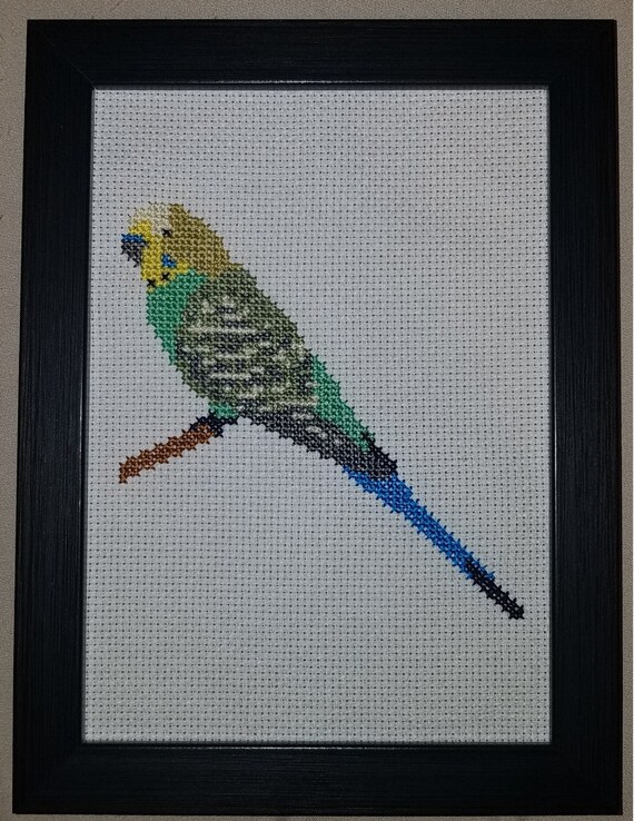 Parakeet PDF Cross-stitch Pattern Instant Digital Download - Etsy