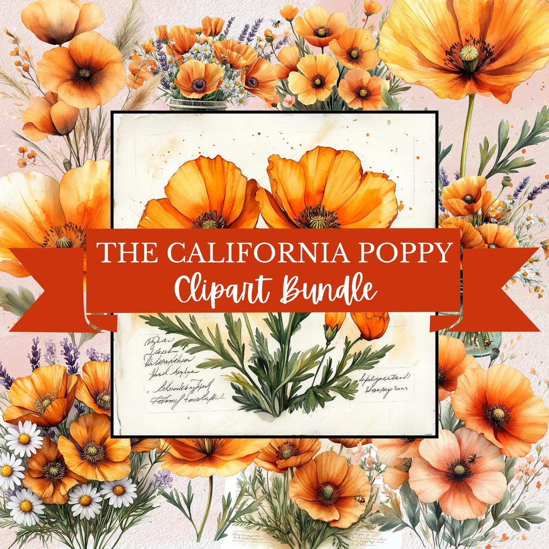 California Poppy Clipart Bundle - 45 Floral Watercolor Pngs ...