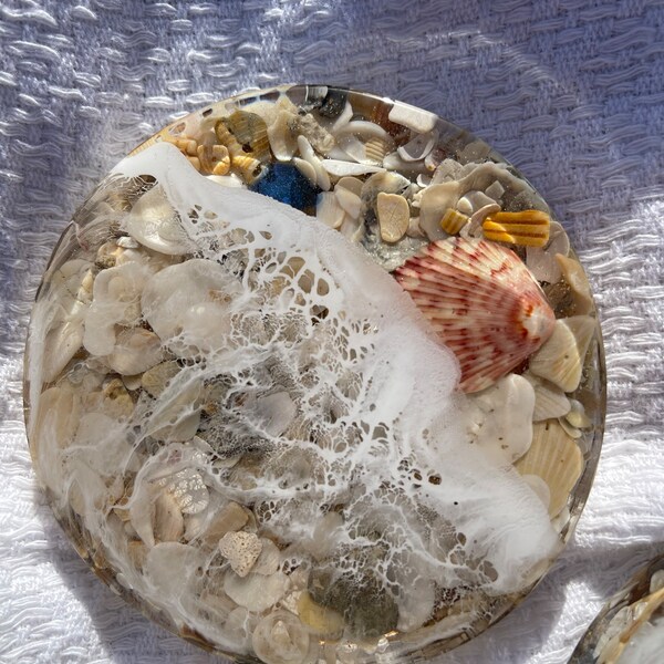 Sea Shell Coasters - Etsy