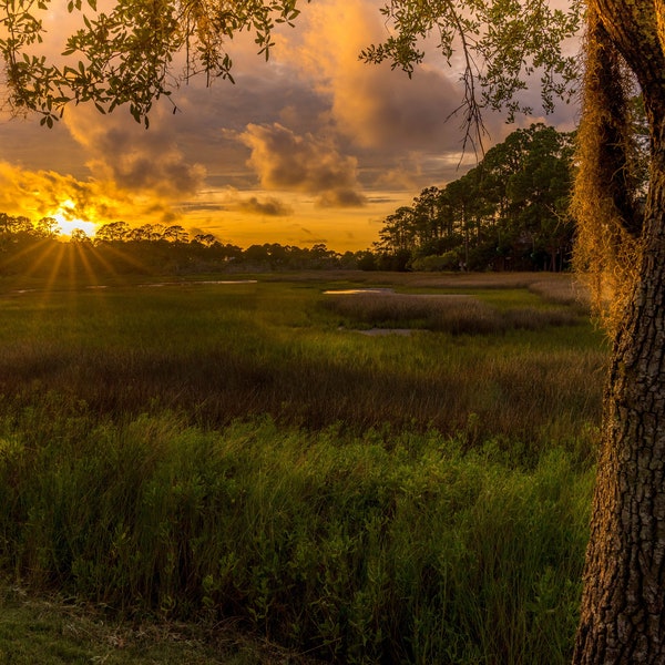 Marsh Photography - Etsy