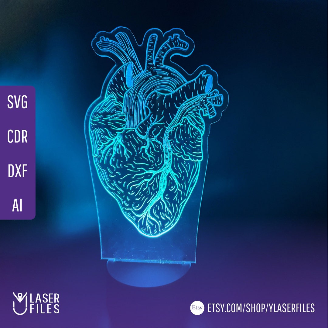 Cardiology Heart 3D LED Light Laser Cutting File svg Cdr Ai Dxf - Etsy