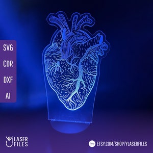 Cardiology Heart 3D LED Light Laser Cutting File svg Cdr Ai Dxf - Etsy