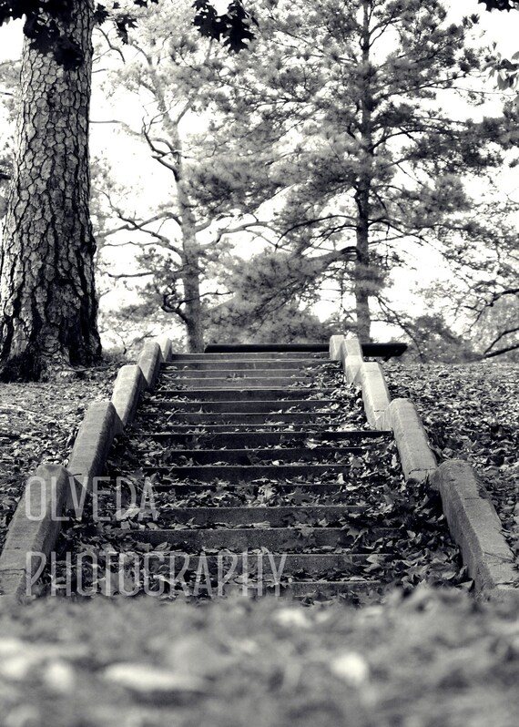 Steps In Autumn BW | Etsy